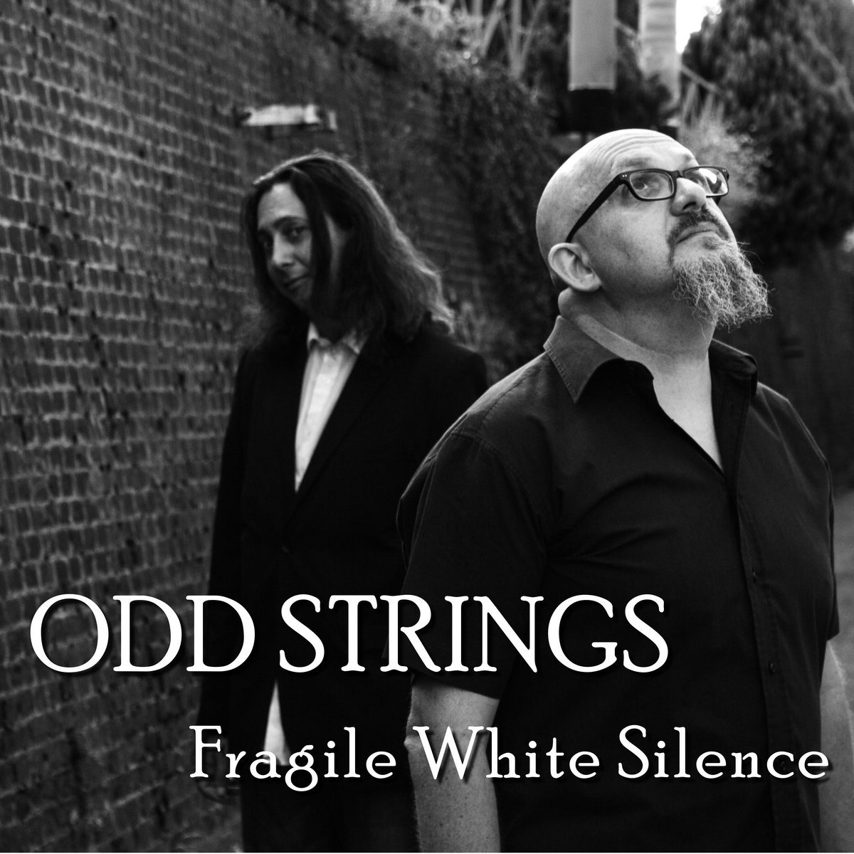 FRAGILE WHITE SILENCE | ODD STRINGS | BUNCH Records