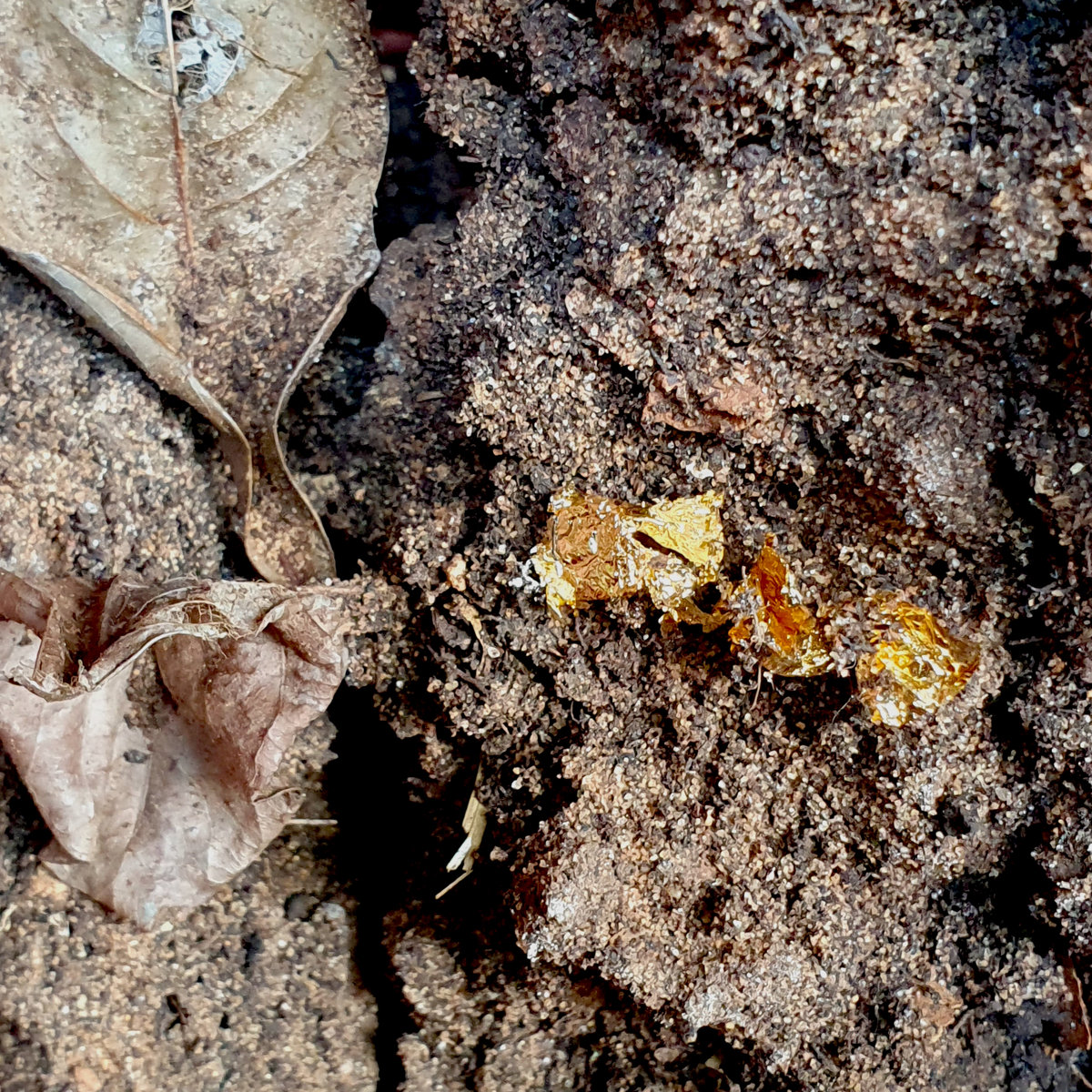 Jad Atoui & Khodor Ellaik - Mad City, Cool Weather (EP) | Khodor Ellaik ...