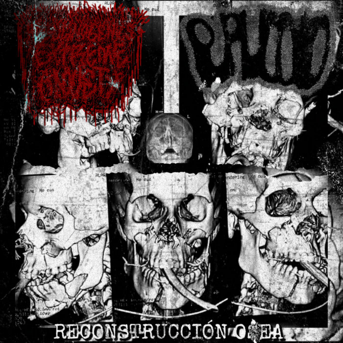 HxExA / Puruloid Split | Puruloid, HxExA | Puruloid