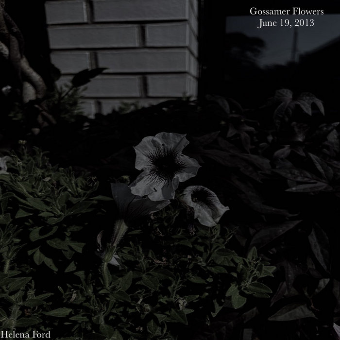 Gossamer Flowers | Helena Ford/Des Temps Immémoriaux