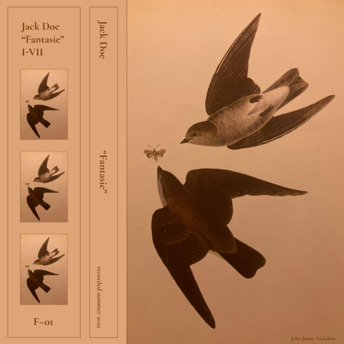 "Fantasie" (swallows) | Jack Doe