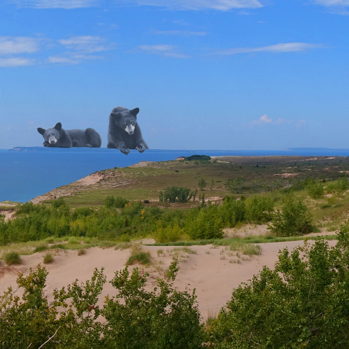 The Sleeping Bear | Essex Chanel | Travis Lee Wiggins