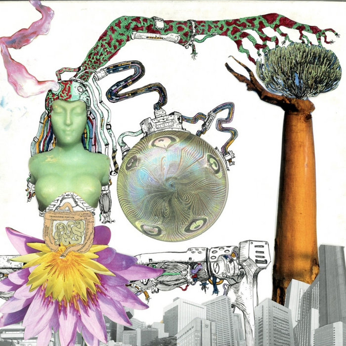 Physiologically | Nobou