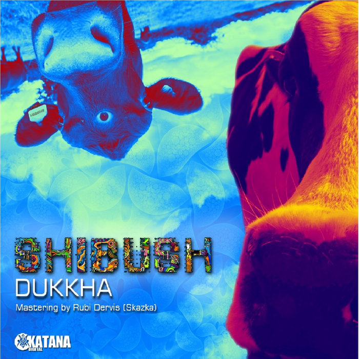 dukkha | shibush