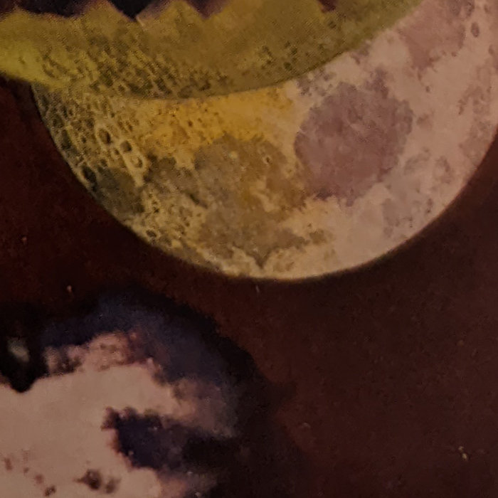 Fresh Flux In Foreign Places | ∞ | The Museum of Viral Memory