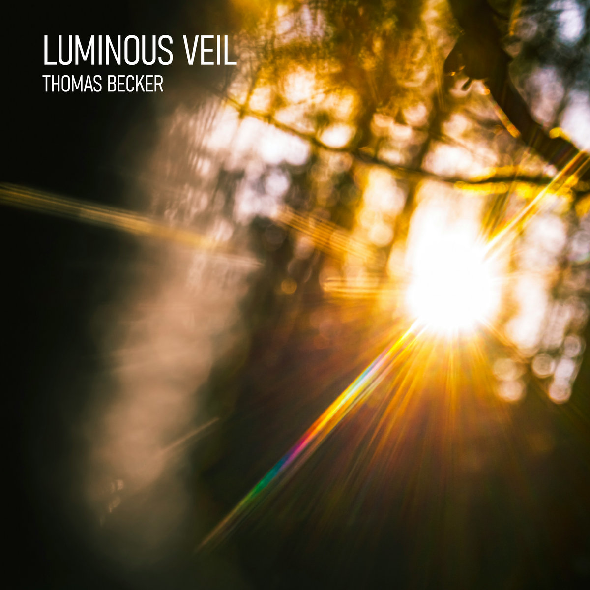 Luminous Veil | Thomas Becker
