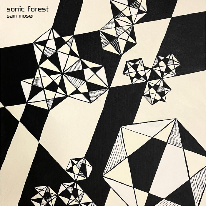 Sonic Forest | Sam Moser