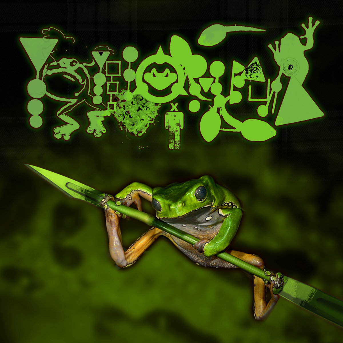 Frog Fight | Phyllomedusa