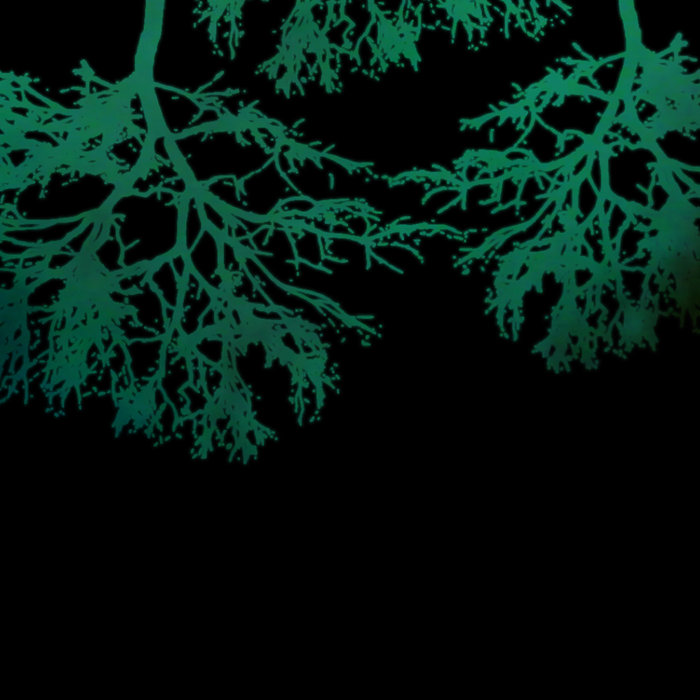 Branching Lines EP | Lined With Life