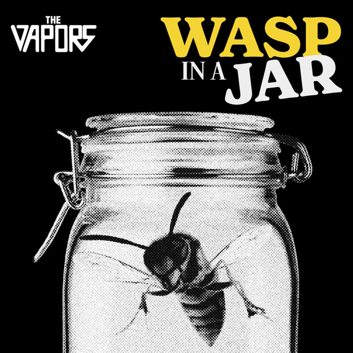 Wasp In A Jar | The Vapors