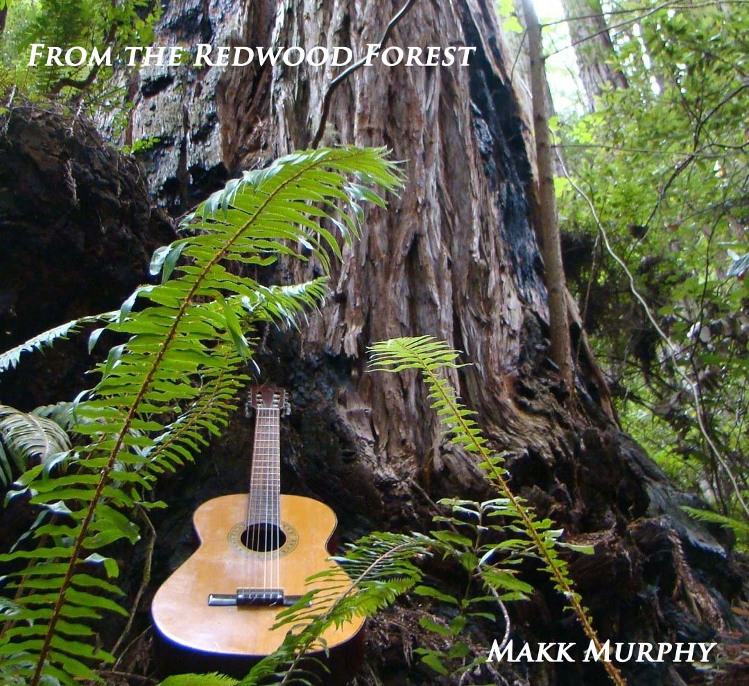 The Ether-Soaked Rag | Makk Murphy