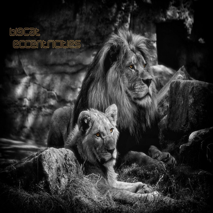 bigcat eccentricities | bigcat instruments