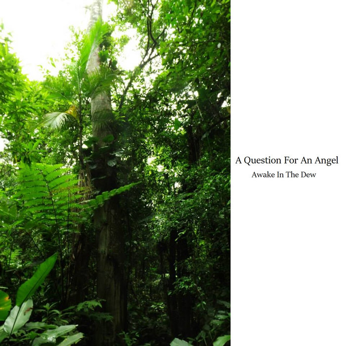 A Question For An Angel | Awake In The Dew