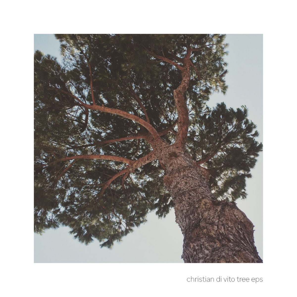 Tree Eps | Christian Di Vito | TIBProd. Italy