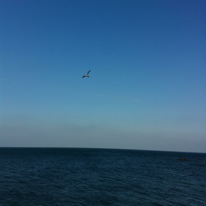 Straight to your heart | Malcolm Joseph