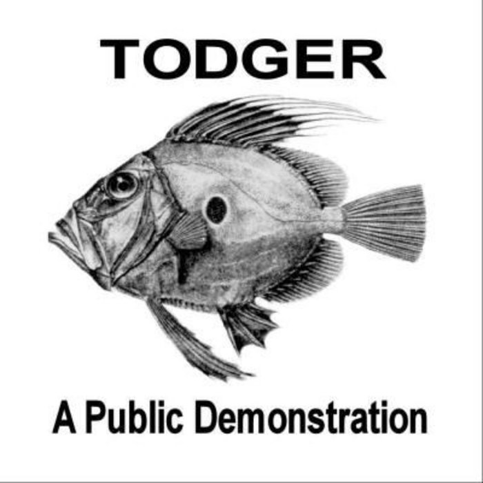 A Public Demonstration | TODGER