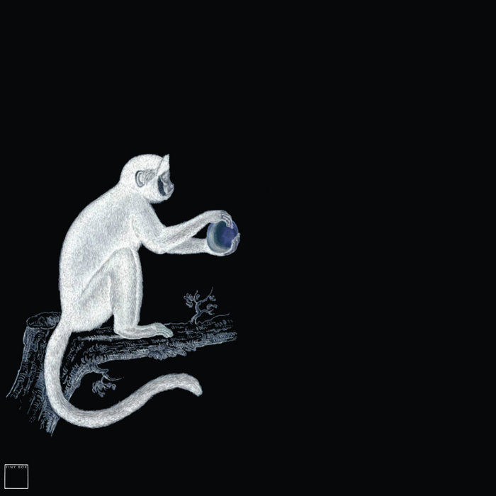 Curse Monkey | Curse Monkey | Hanging Freud