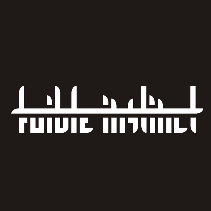 promo 2014 | Foible Instinct