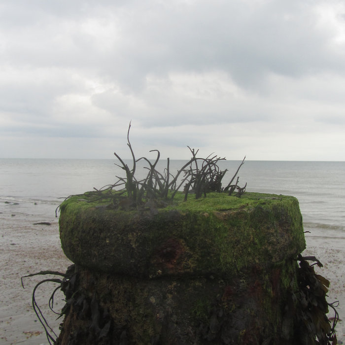 sudden light | sevenism