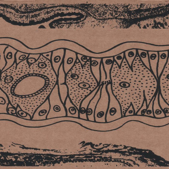 Split | tyhjiø / Umpio | Bitter Insect Recordings