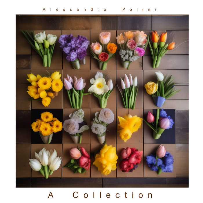 A Collection | Alessandro Polini