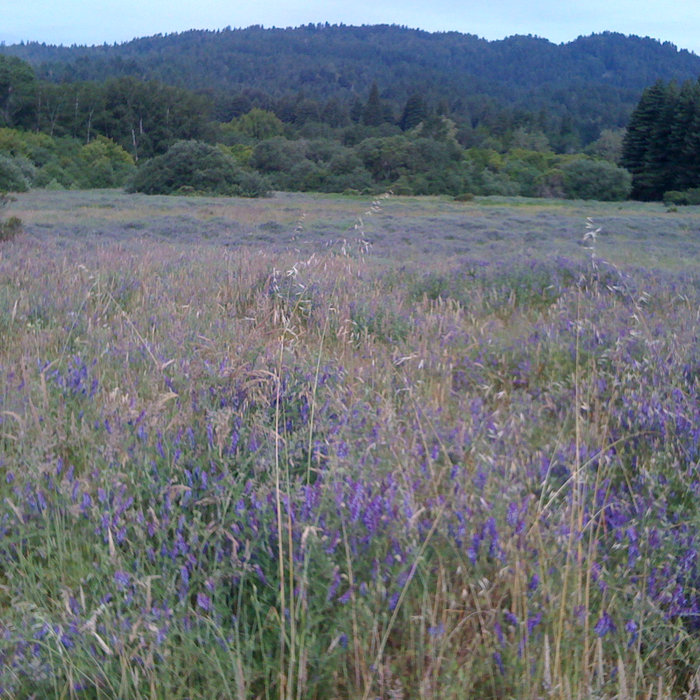 Springtime | Chris Berkner (words and music); instrumental music by ...