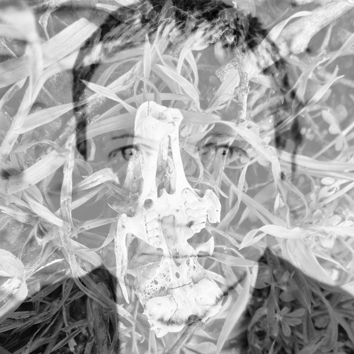 ill-timed: nine whole months of h | Poppy H