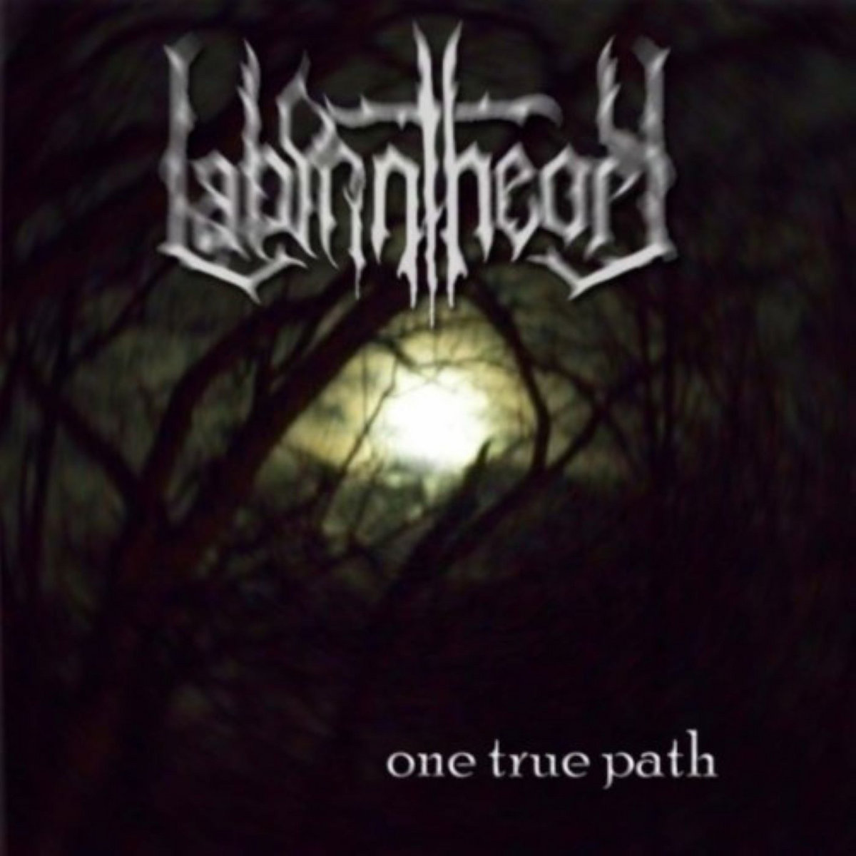 Labyrintheory - one true path | Matthew P. Davis