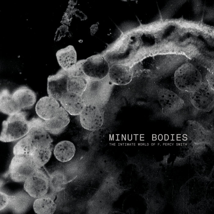 Minute Bodies: The Intimate World Of F. Percy Smith | tindersticks