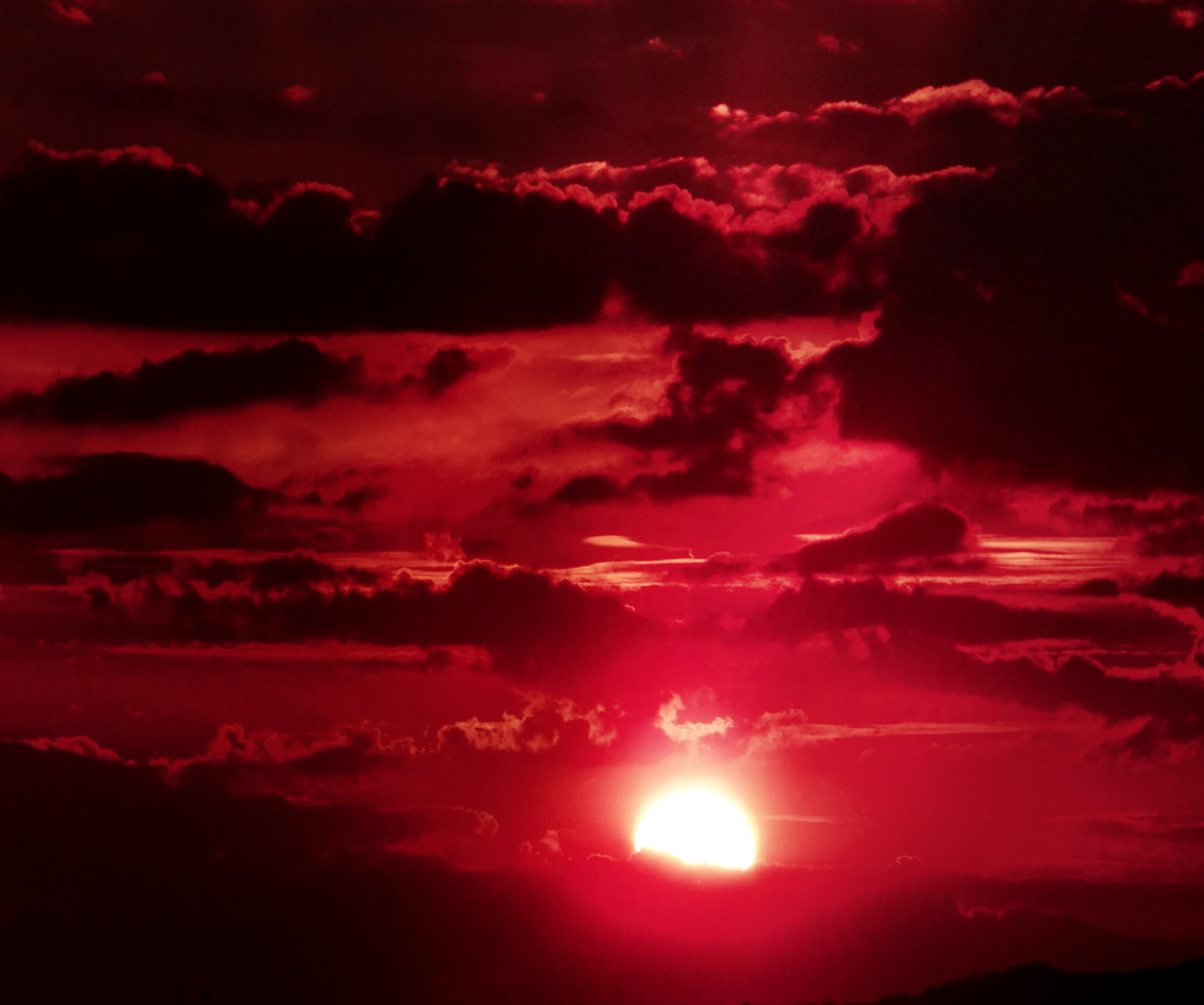 Neon Ruby Pt.1 | Danny.Boi.M