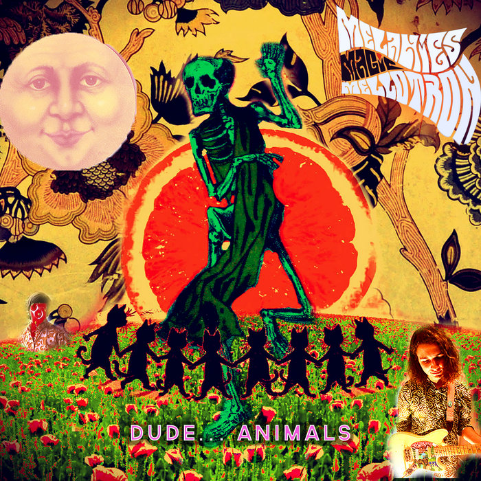 Dude... Animals | Melanie's Magic Mellotron