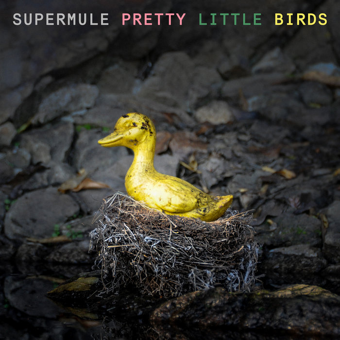 Pretty Little Birds | SUPERMULE