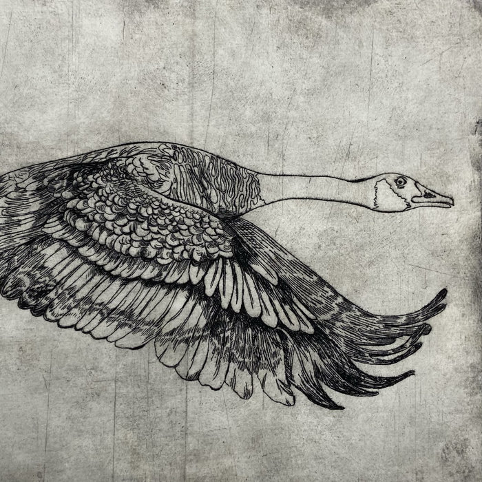 Get Well Soon | Remy Morgan