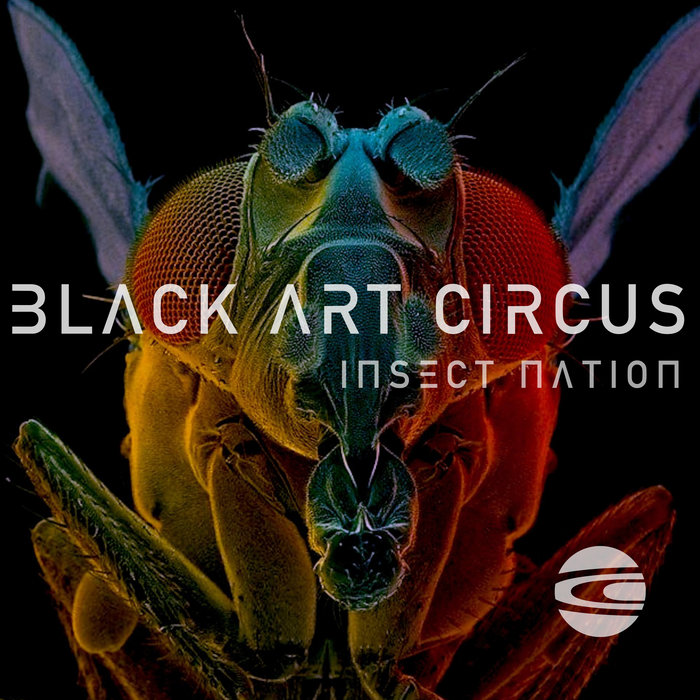 Insect Nation | Black Art Circus