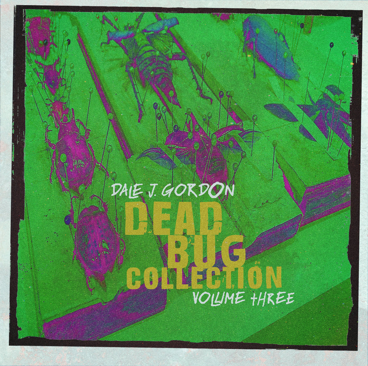 Dead Bug Collection #3 | Dale J. Gordon