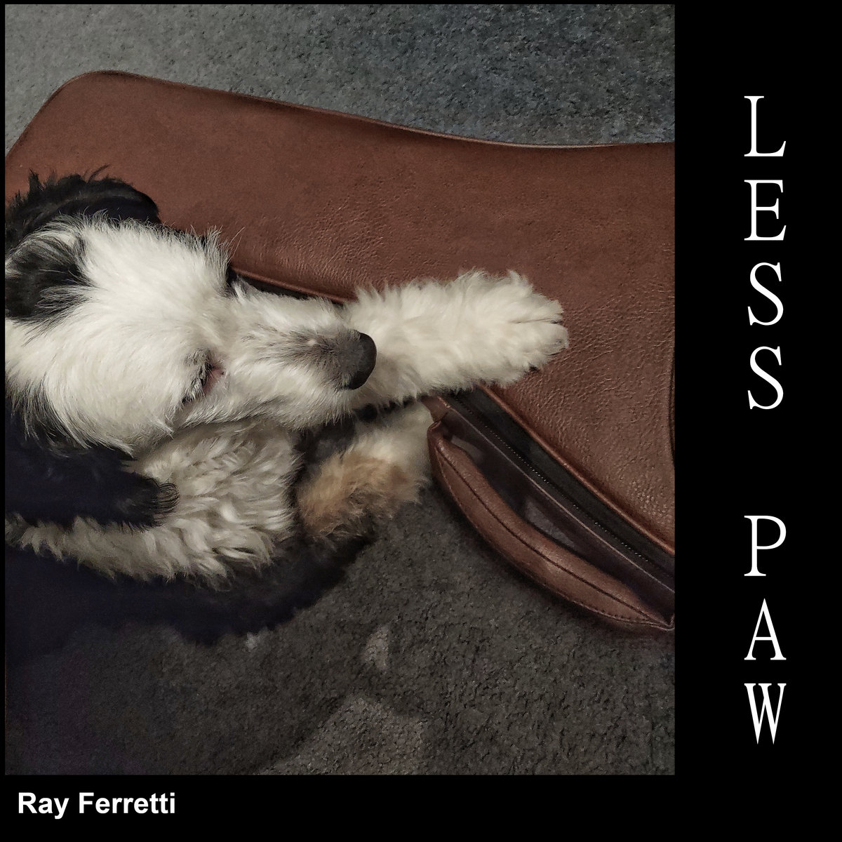 Less Paw | Ray Ferretti