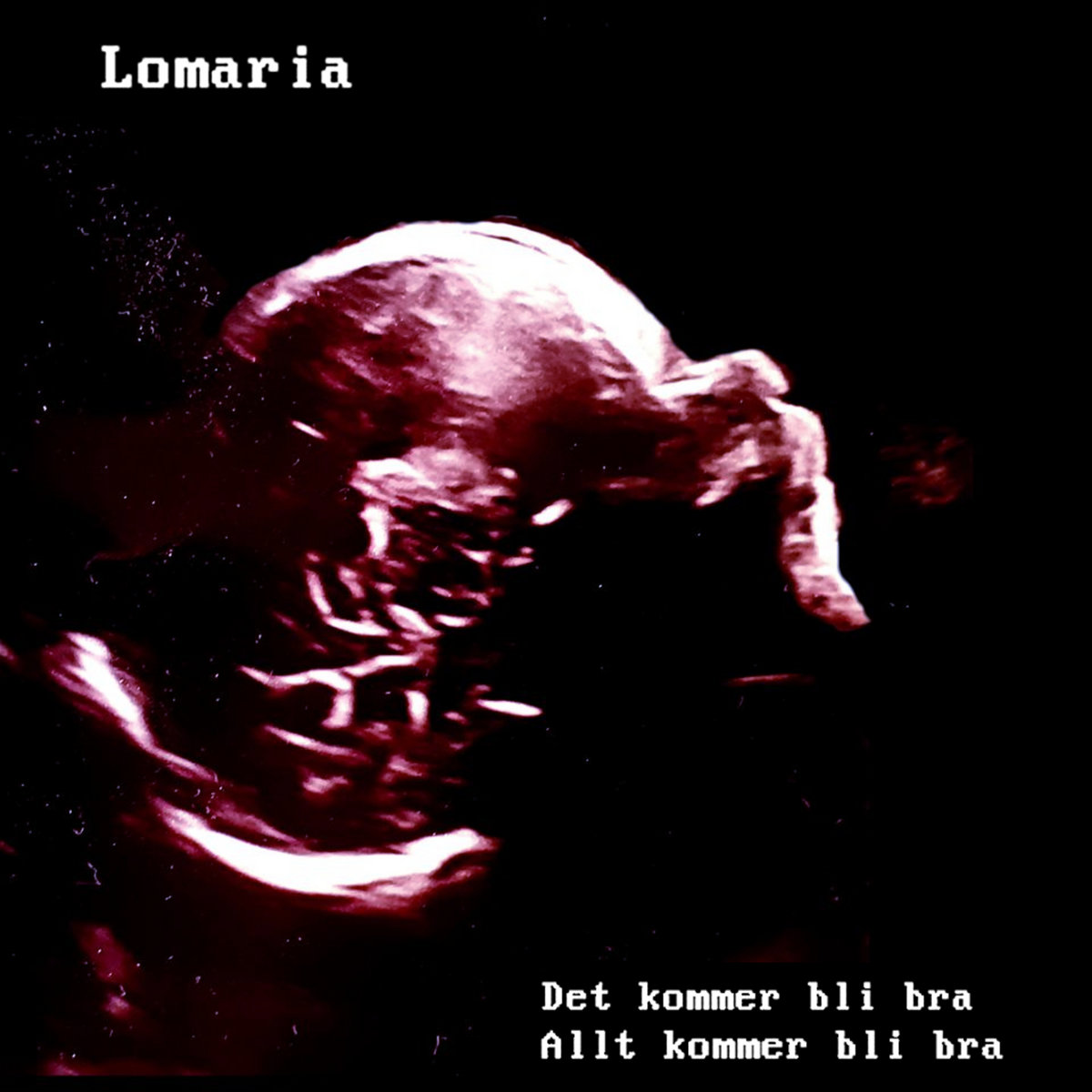 Det kommer bli bra, allt kommer bli bra | Lomaria | Stålverk