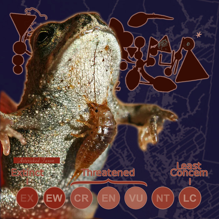 Asterisked* Taxon | Phyllomedusa