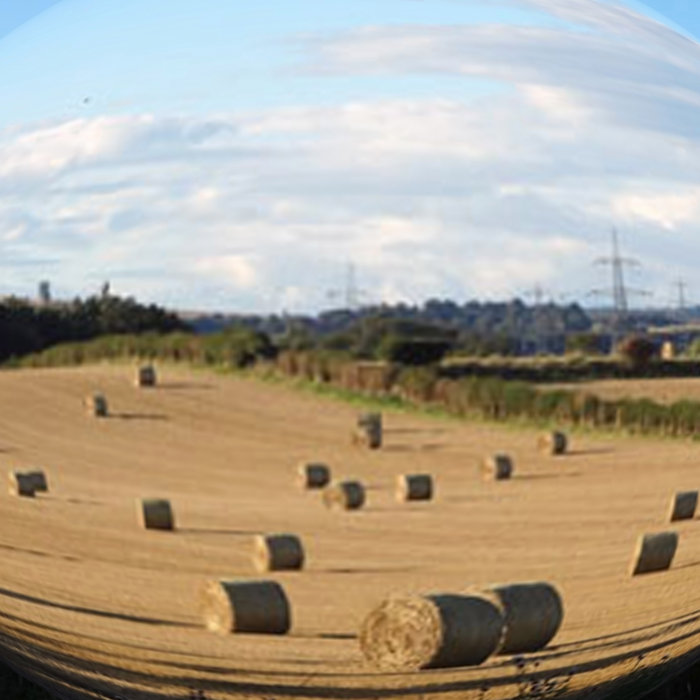 FARM | Goh Lee Kwang