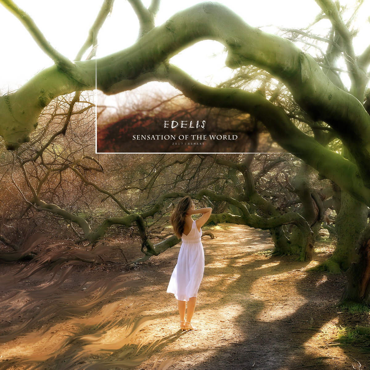 Sensation of the World (Rerecorded Version) | Edelis