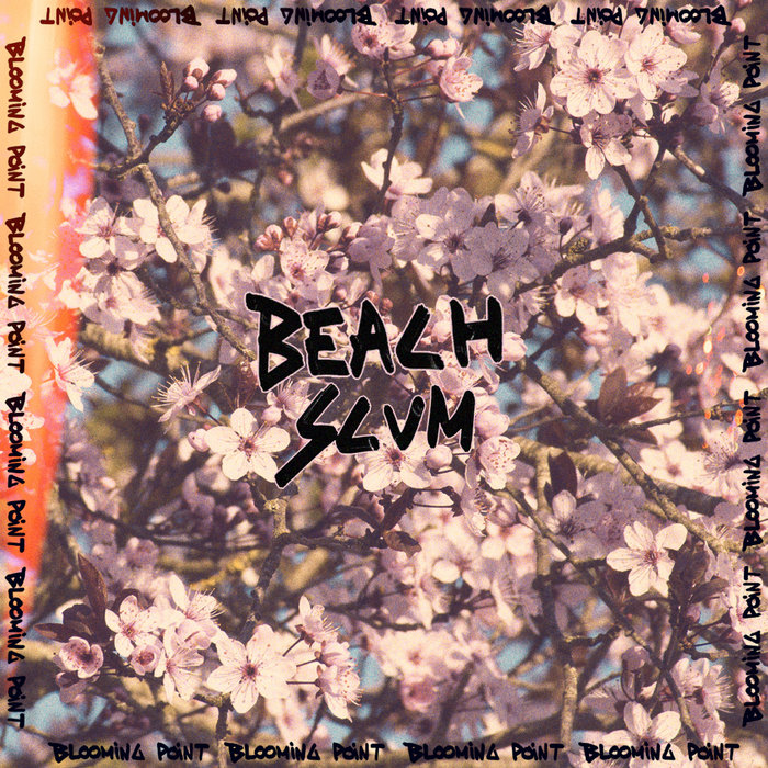 BLOOMING POINT | beach scum