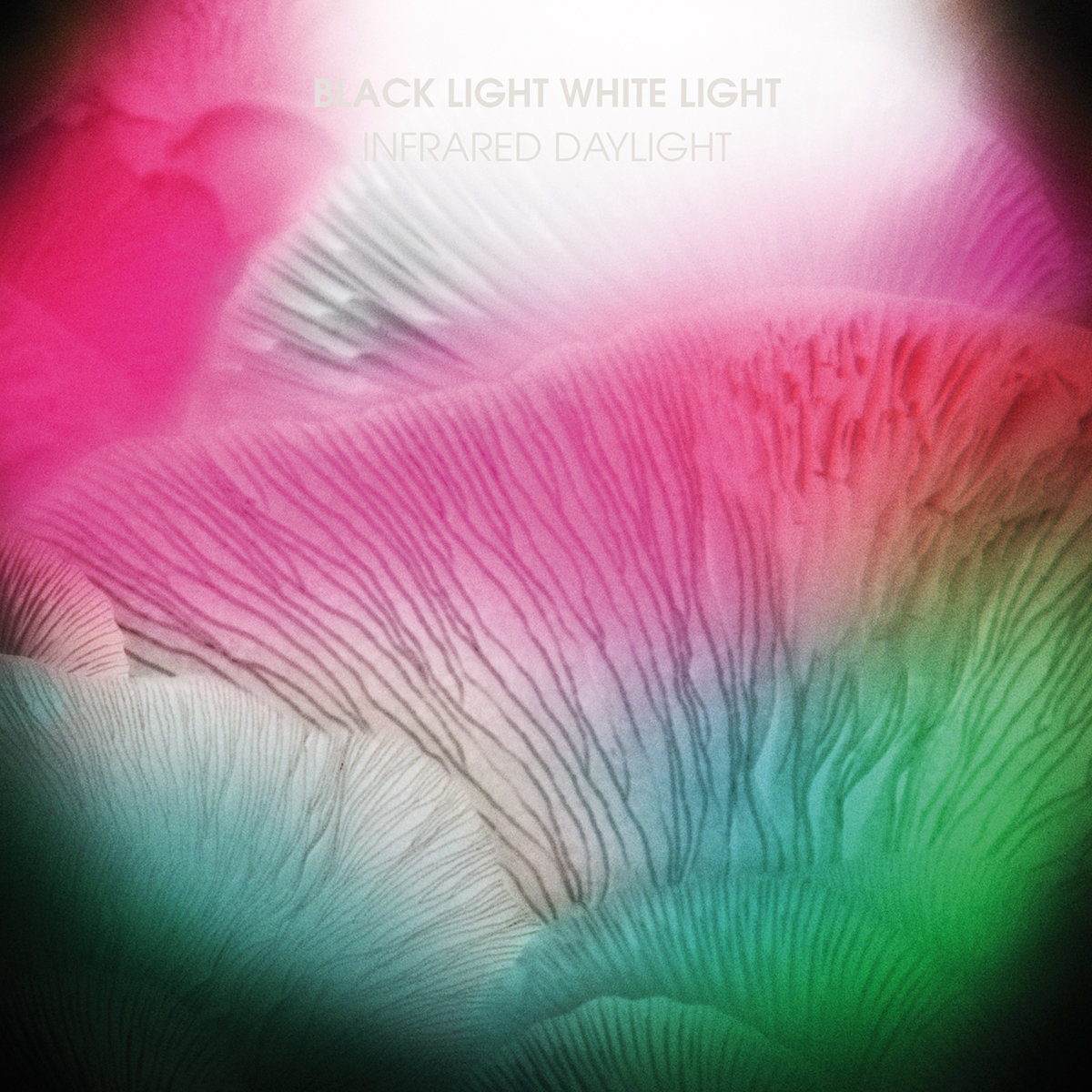 Infrared Daylight - Album | Black Light White Light