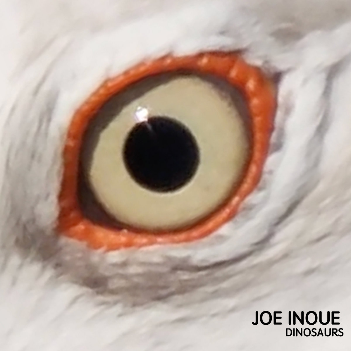 DINOSAURS | Joe Inoue