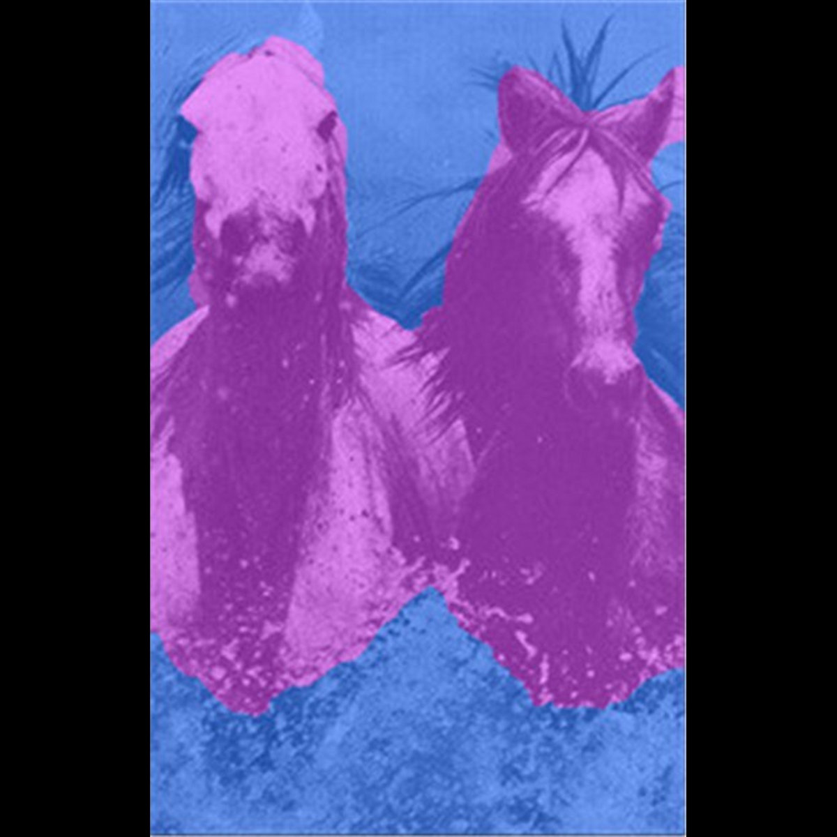 Split | Slasher Risk