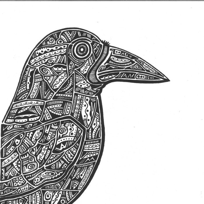 Good Luck Crow | The Ants