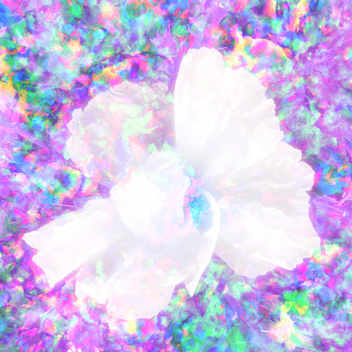 Electric Flowers | Jordan Christoff