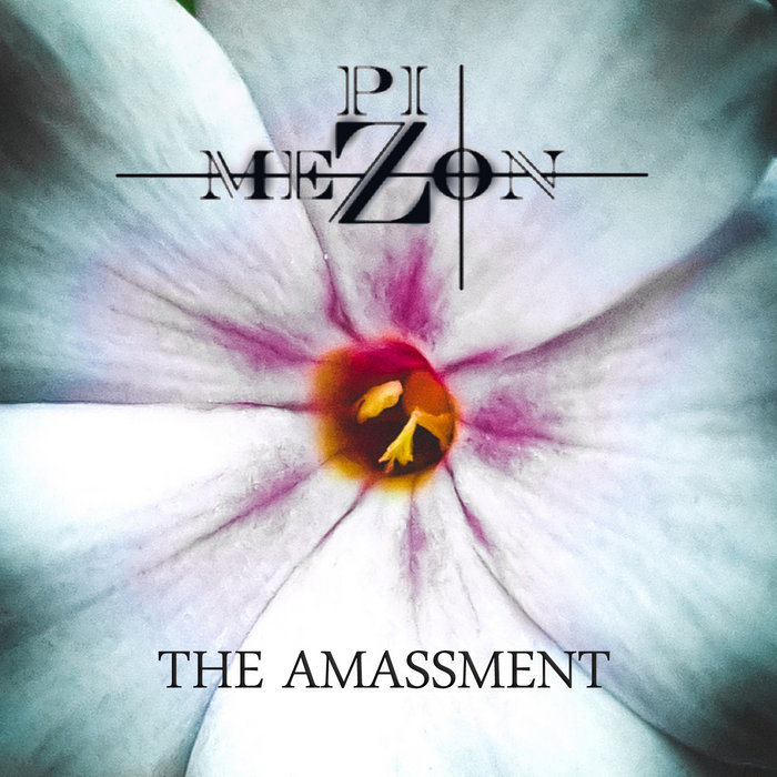 The Amassment | Pi Mezon