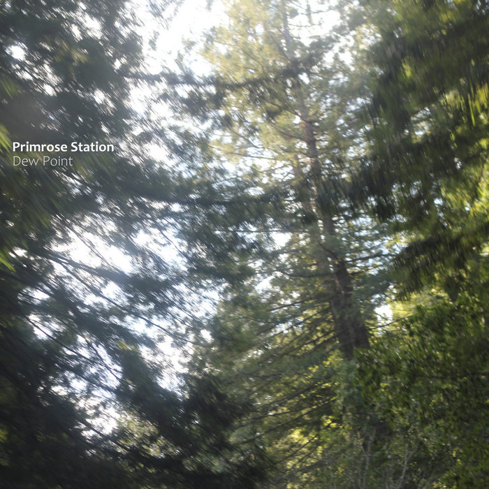 Dew Point | Primrose Station | BackwardsSpanishFloor