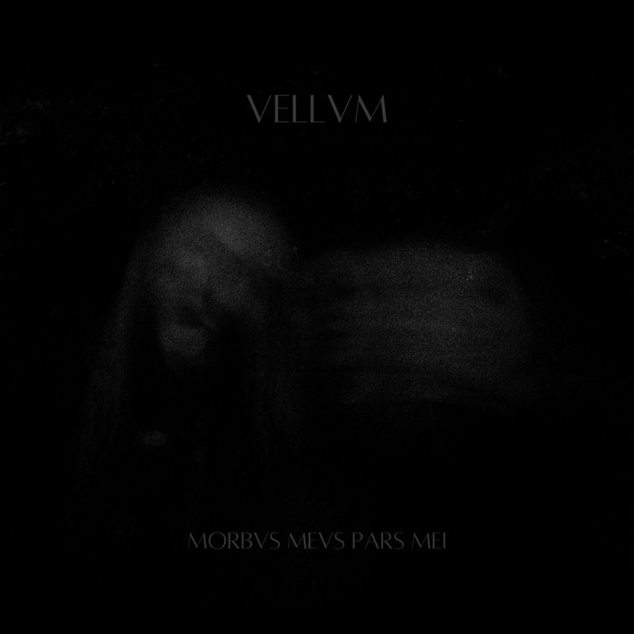 MORBVS MEVS PARS MEI | VELLVM