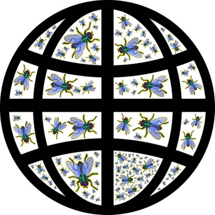 Caught in the Web (ep) | The Happy Somethings